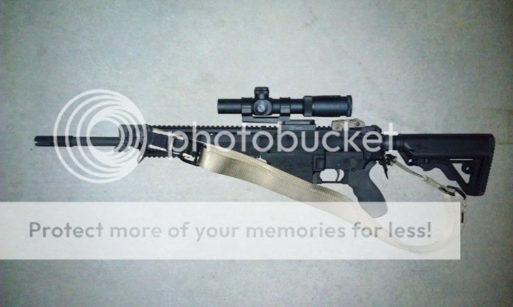 Which optic for a .308 "battle rifle"? > Optics, Mounts, and Sights ...