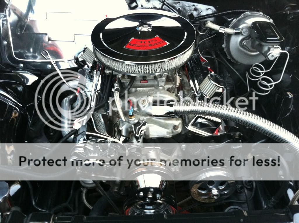 THE ENGINE BAY PICTURE THREAD | GBodyForum - 1978-1988 GM A/G-Body ...