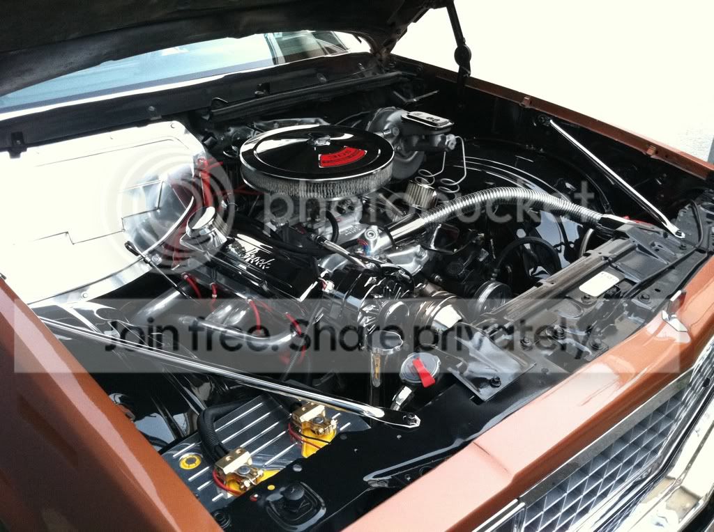 THE ENGINE BAY PICTURE THREAD | GBodyForum - 1978-1988 GM A/G-Body ...