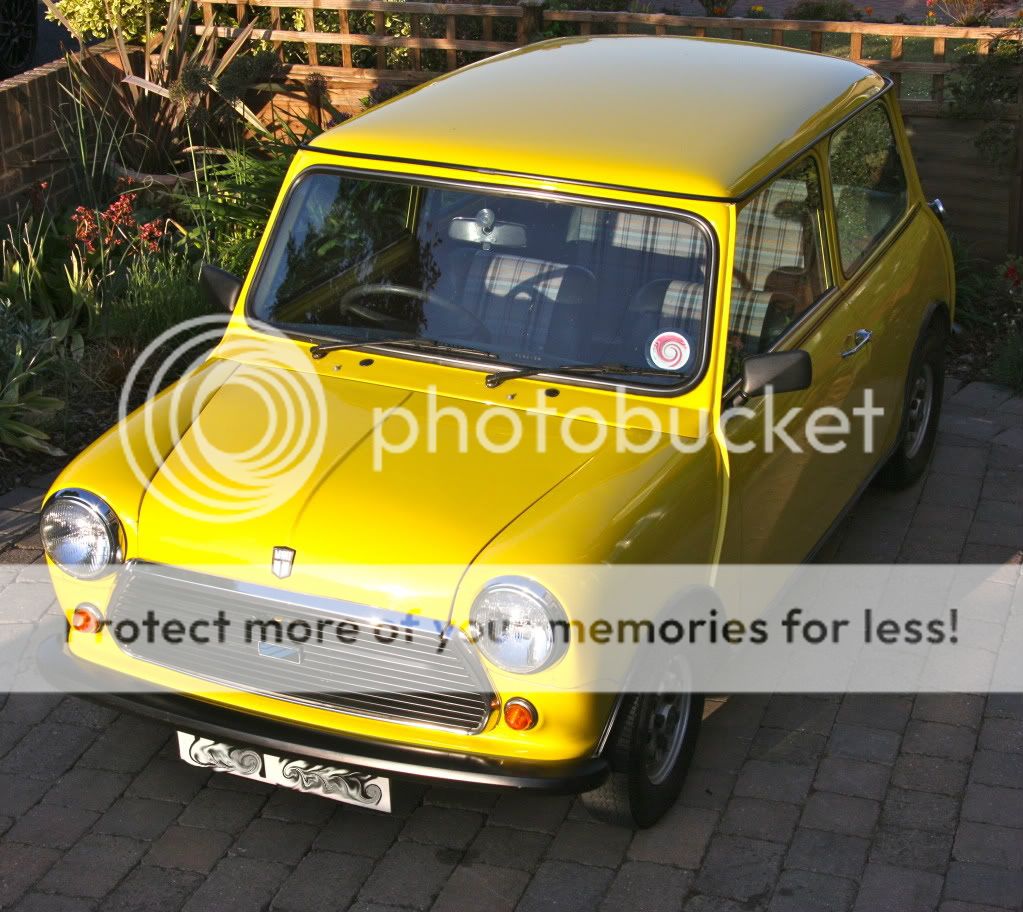 My new Mini HL | Detailing World Forum